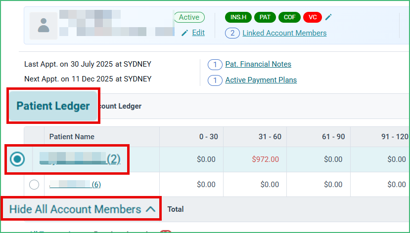 All About the Ledger's Customisable Features – CareStack